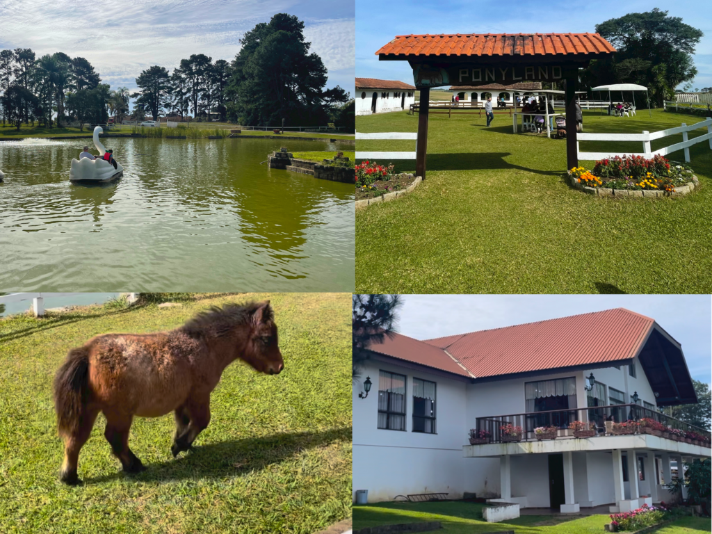 Witmarsum: Descubra um lugar incrível a menos de 60 km de Ponta Grossa!
